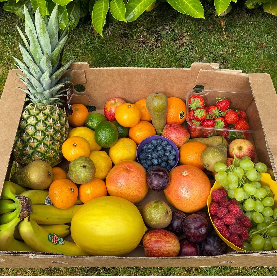 Family Fruit Box – Home Fresh Foods
